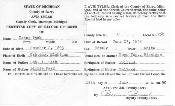 What Do Michigan Birth Certificates Look Like Birth Certificate